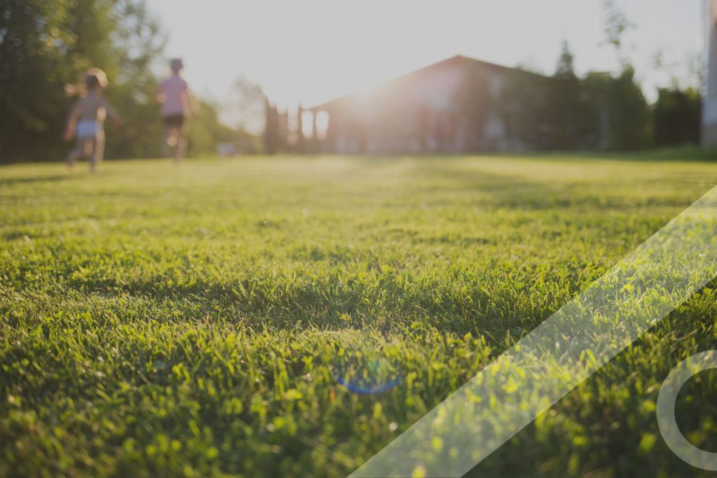 ReNew Solar Solutions | Local Installer of the Year